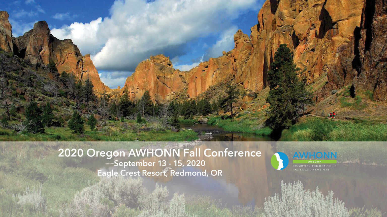 AWHONN Oregon Section